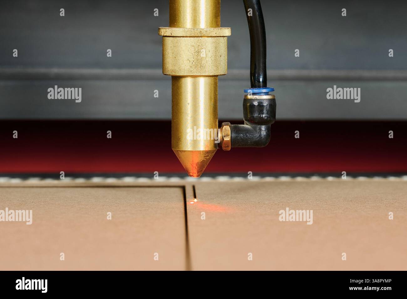Precision laser cutting creates intricate designs in cardboard sheets ...