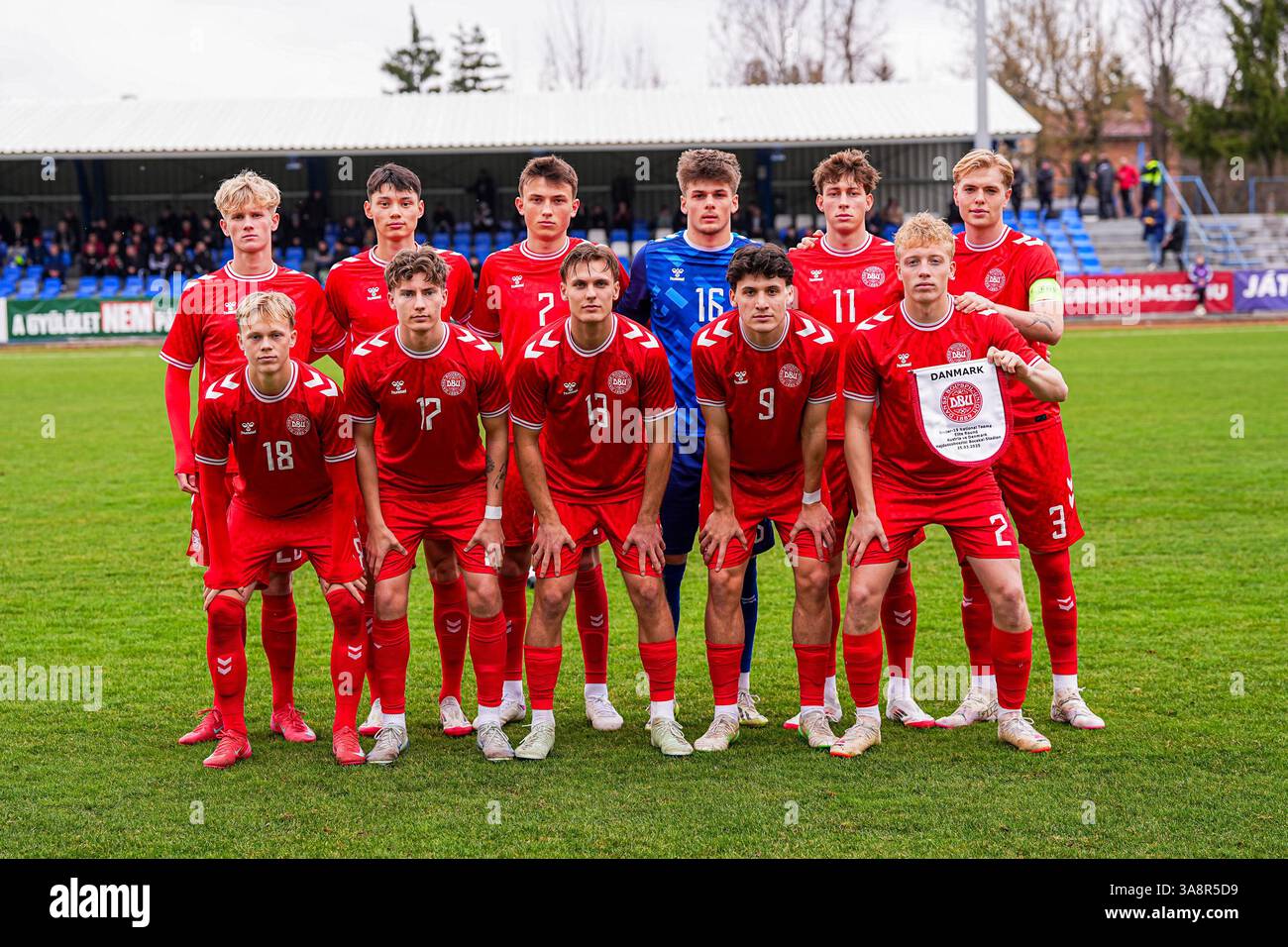 Hungary, Hajduszoboszlo, March 25th 2025: The team of Denmark poses for a photo during the UEFA ...