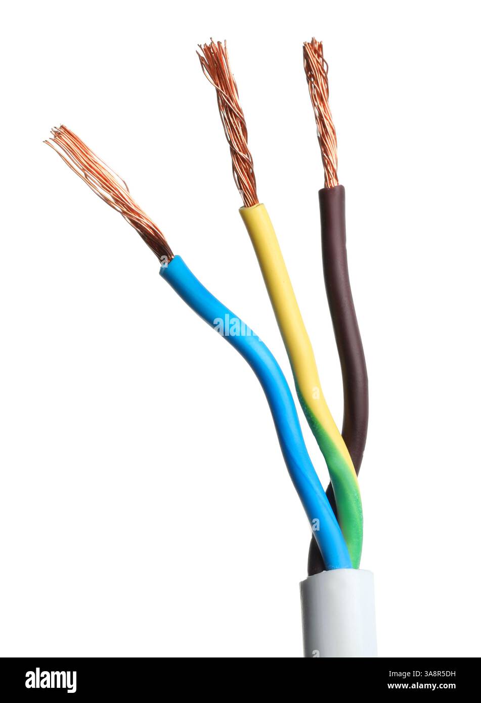 Stripped electrical wire with copper strands isolated on white Stock ...