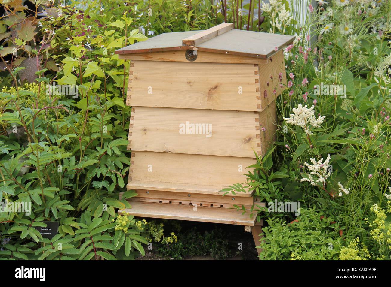 A Modern Wooden Beehive in a Busy Flower Garden Stock Photo - Alamy