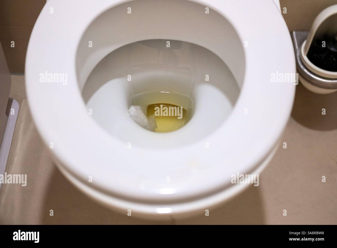 White toilet bowl, highlighting simple and modern design in bathroom ...