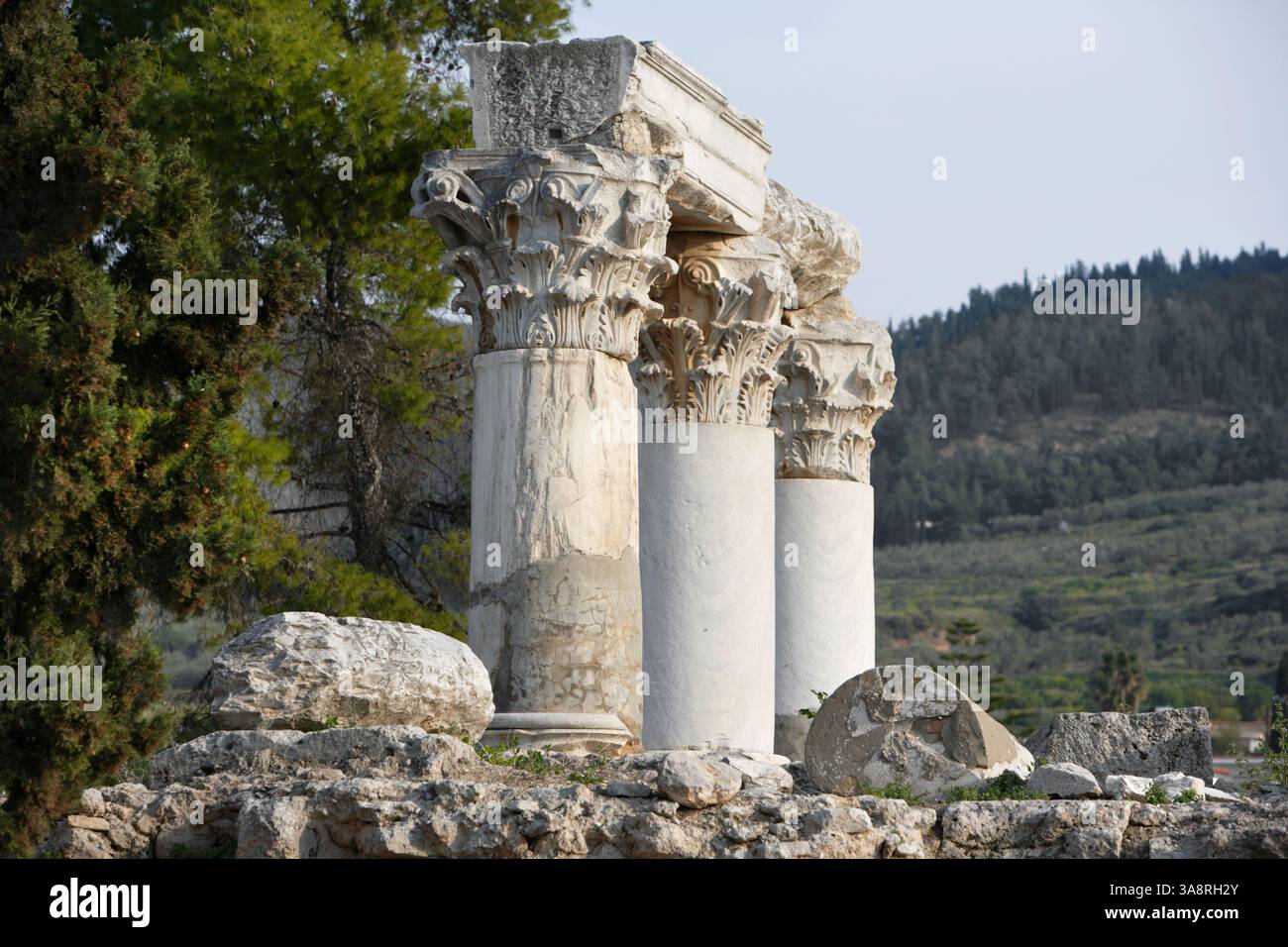April 15, 2007 - Corinth, Greece - A detail of Temple E, on April 15 ...
