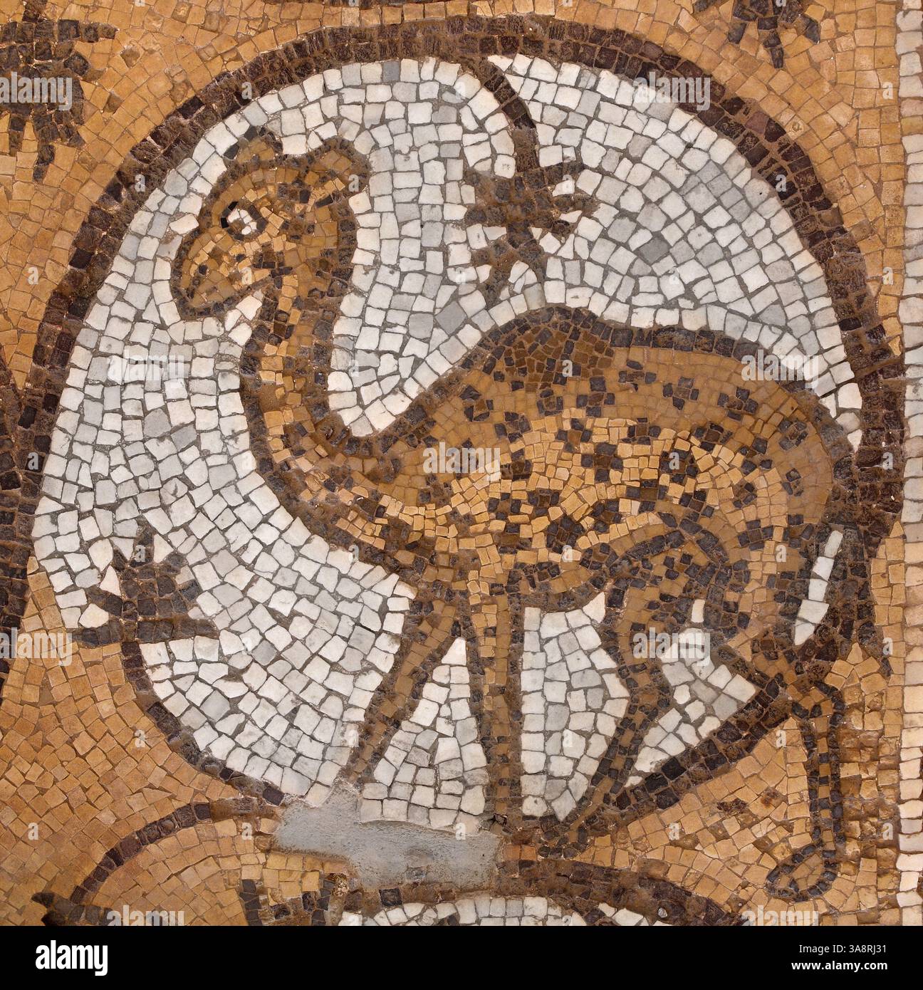 July 10, 2012 - Petra, Jordan - Medallion mosaic of camel-shaped ...