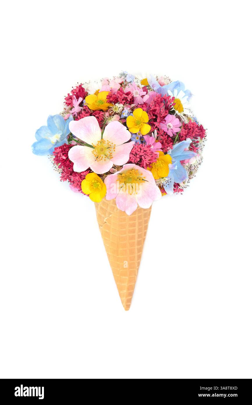 Whimsical logo Cut Out Stock Images & Pictures - Alamy