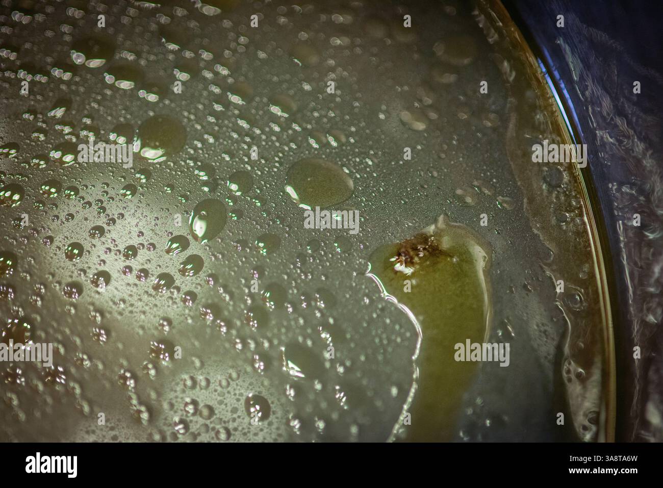 A tuft of baby's hair, cut from the priest, inside the holy font filled ...