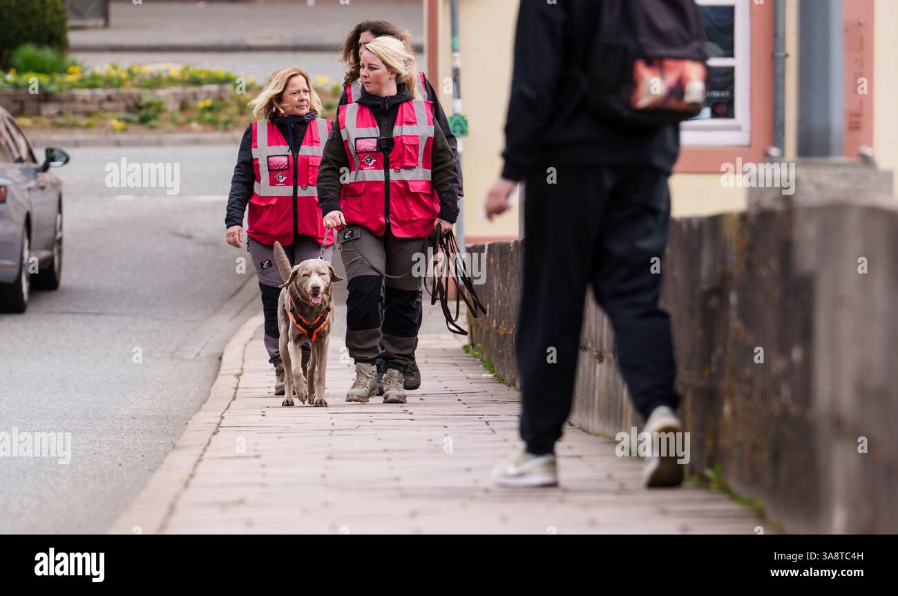 29 March 2025, Hesse, Weilburg: Dog handlers and their rescue dogs ...