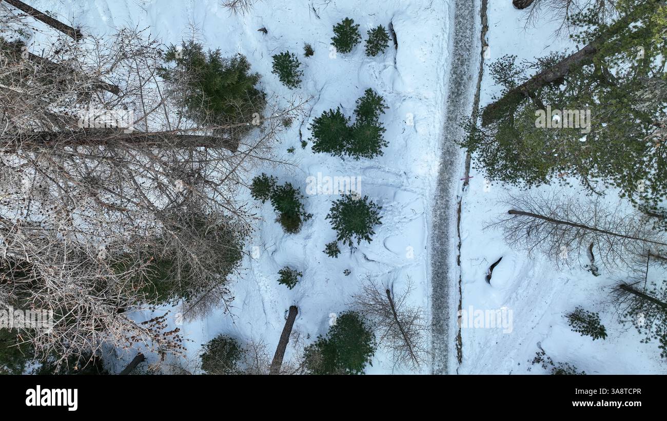 Snow-covered forest with a frozen river, top-down aerial view. Magical ...