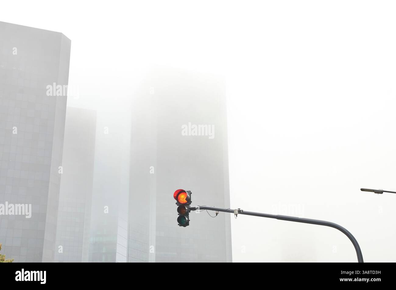 Mystical red traffic light amid a fog-shrouded cityscape evokes an ...