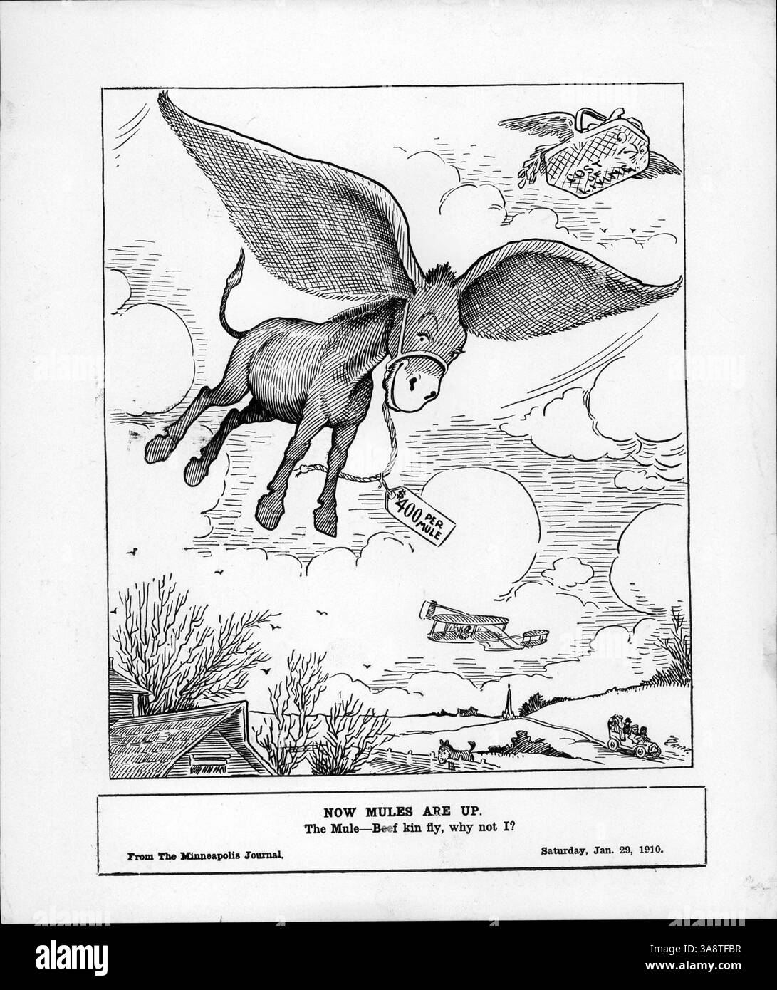 The illustration shows a mule soaring over houses hi-res stock ...