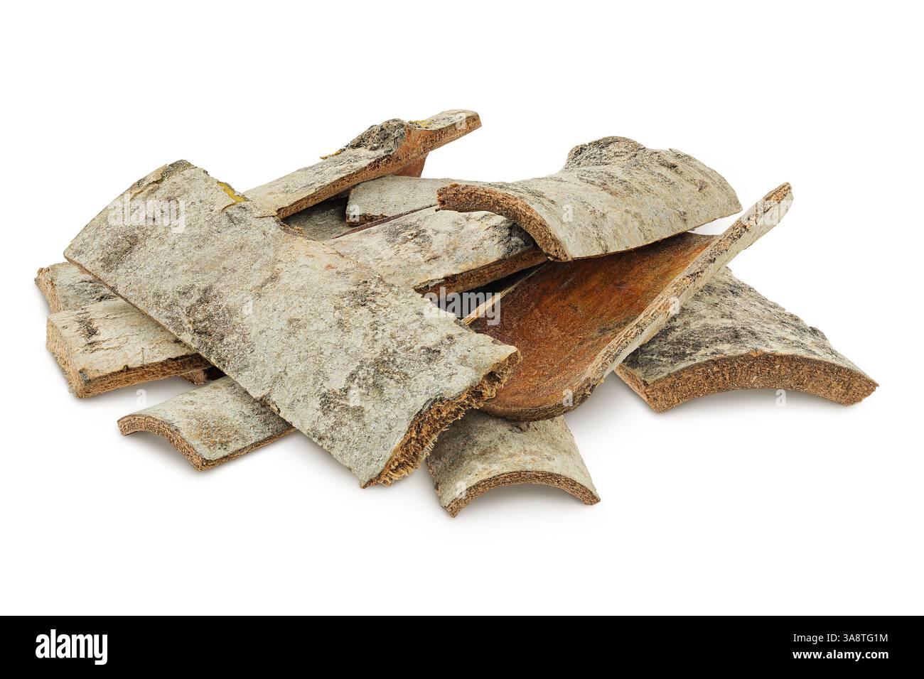 piece of aspen bark isolated on white background Stock Photo - Alamy