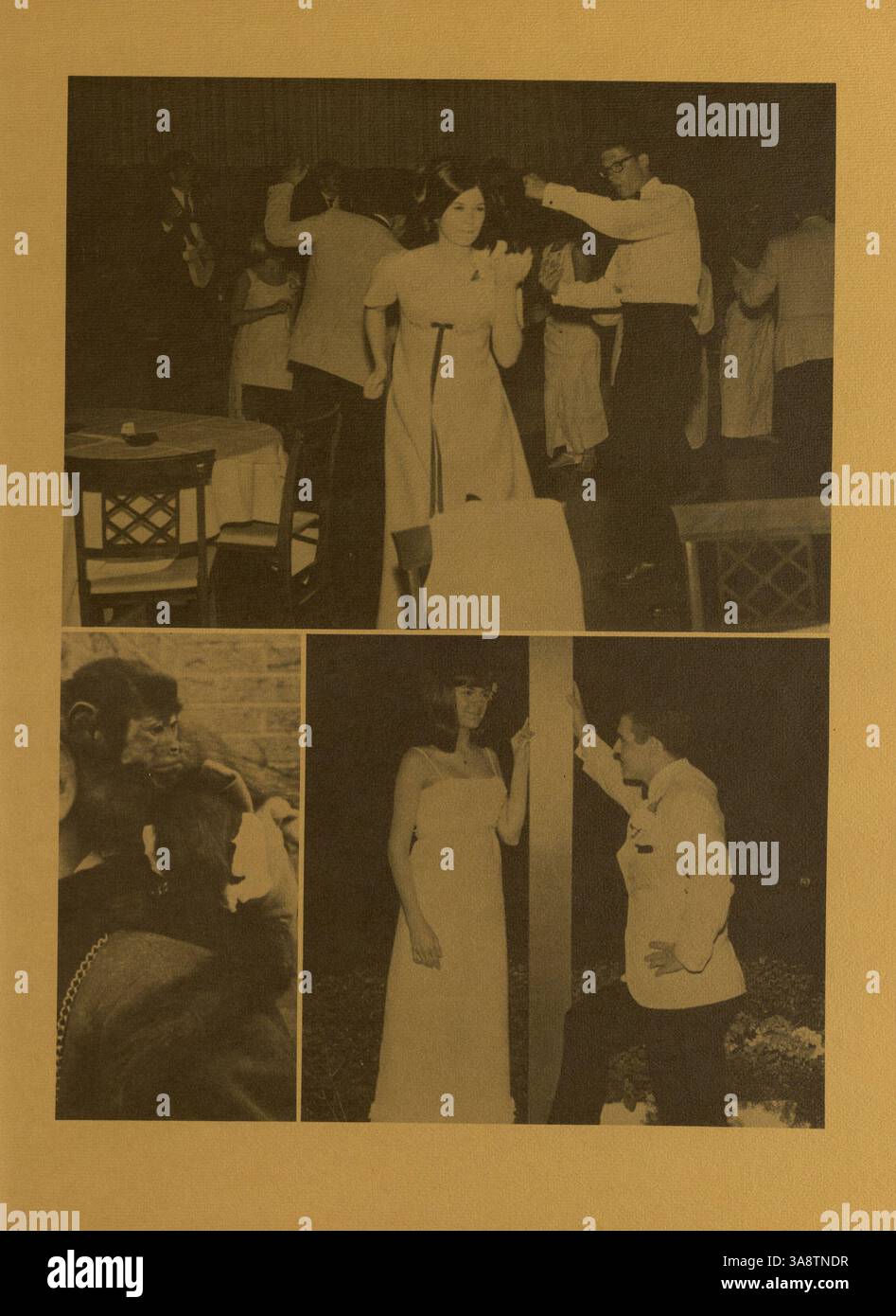 The 1967 Mustang yearbook from Breck School documents the 1966-1967 ...