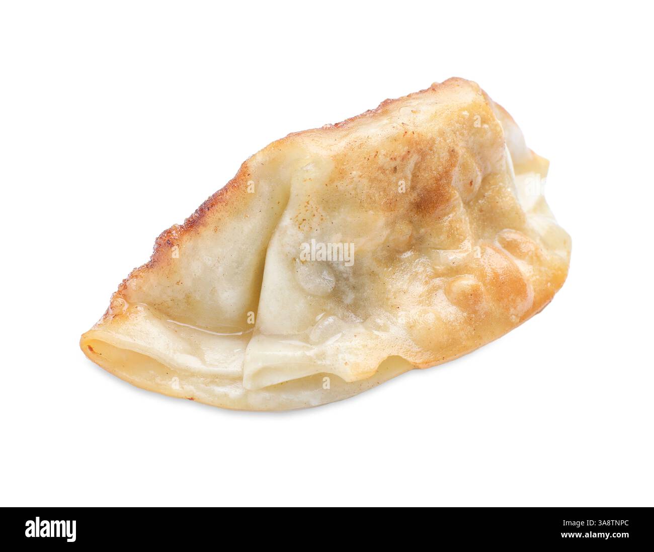 One fried gyoza dumpling isolated on white Stock Photo - Alamy