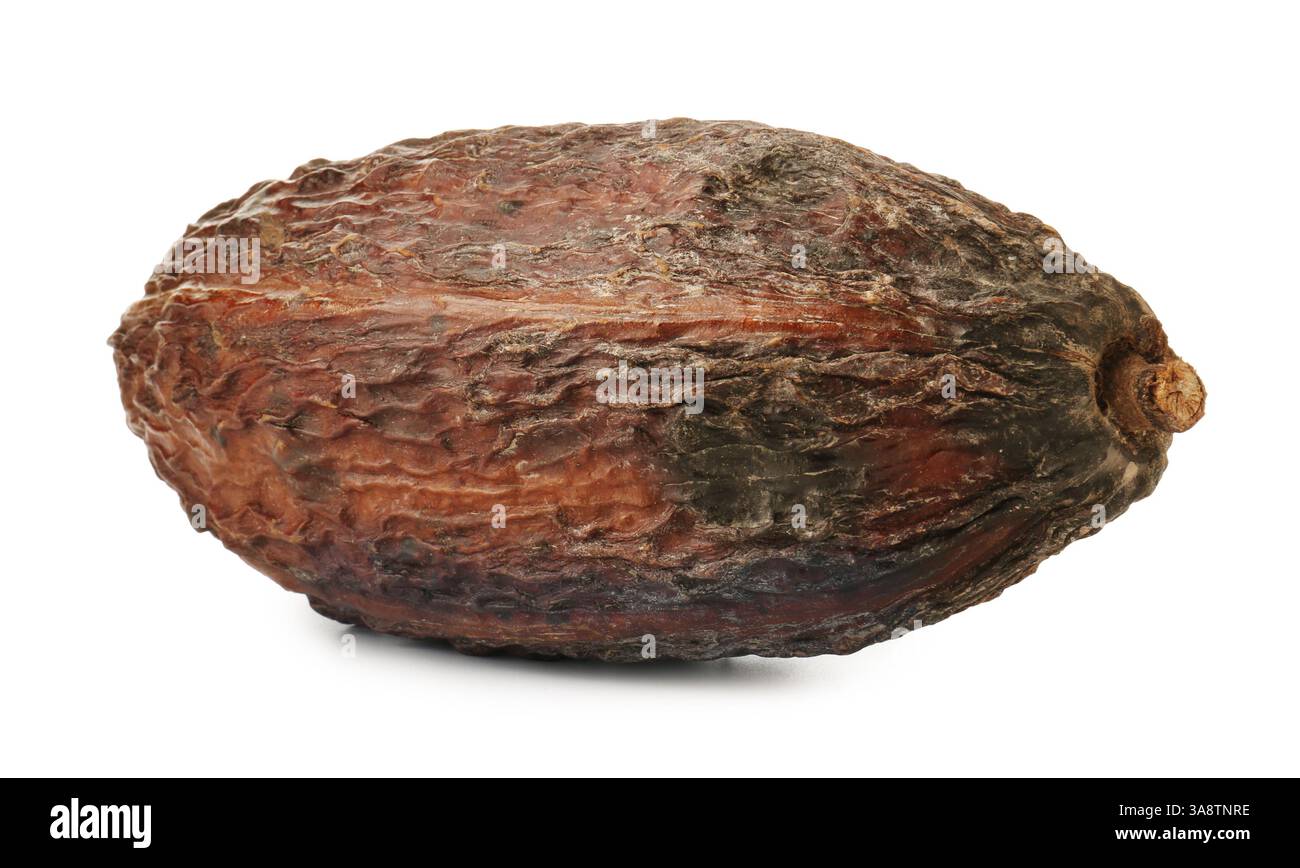 Whole tropical cocoa pod isolated on white Stock Photo - Alamy