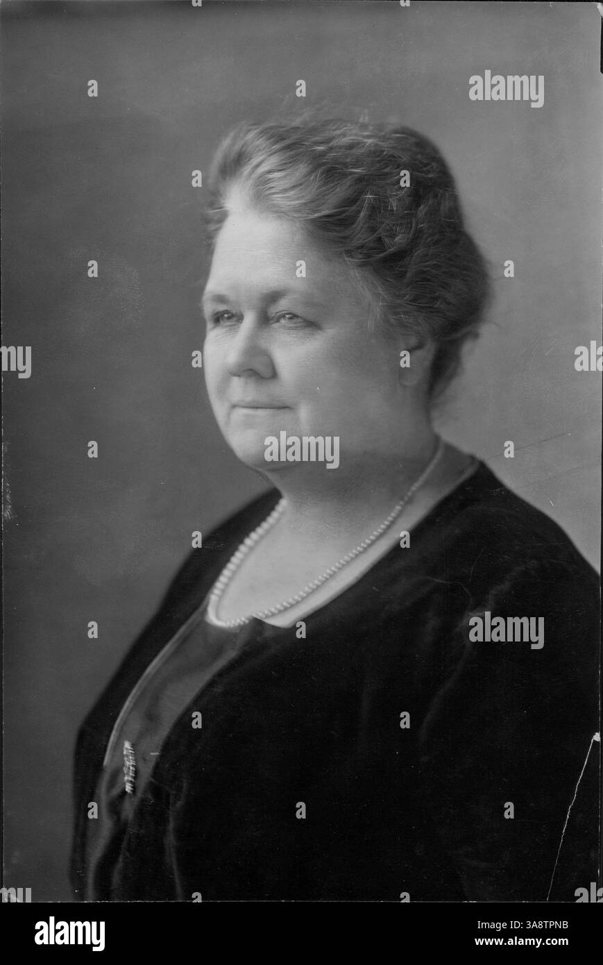 Mrs. Thomas J. Gibbons served as the president of the Rosary Society of ...