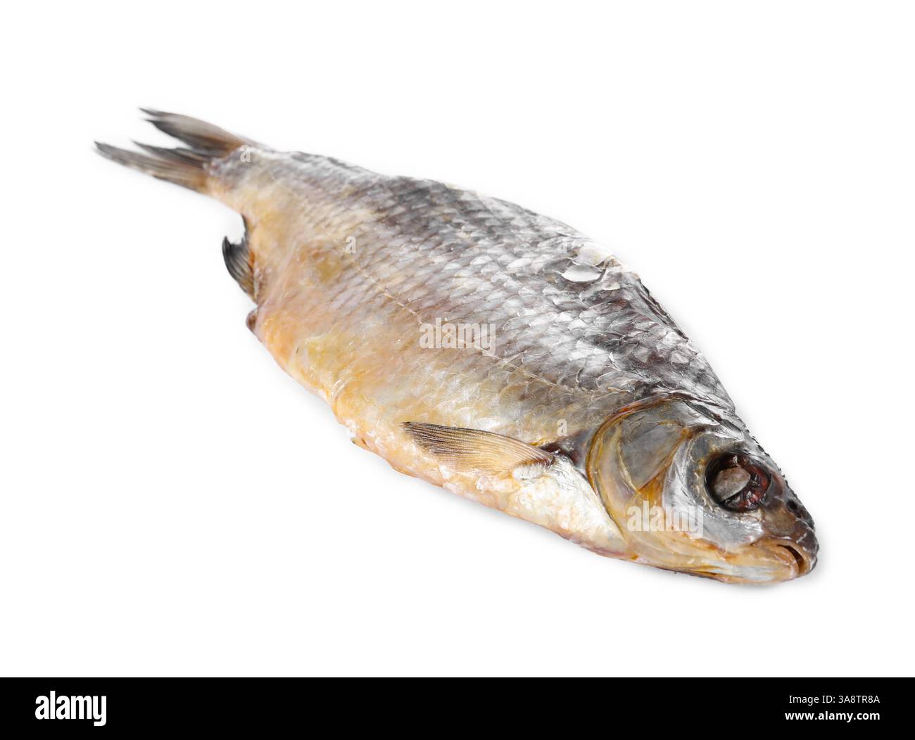 Dried salted roach fish isolated on white Stock Photo - Alamy