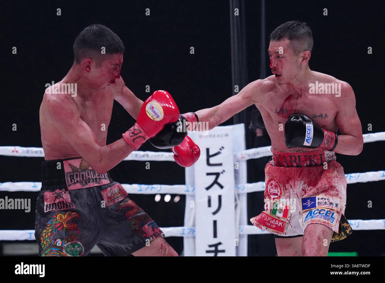 Masamichi Yabuki of Japan (white) throws a punch during IBF Flyweight ...