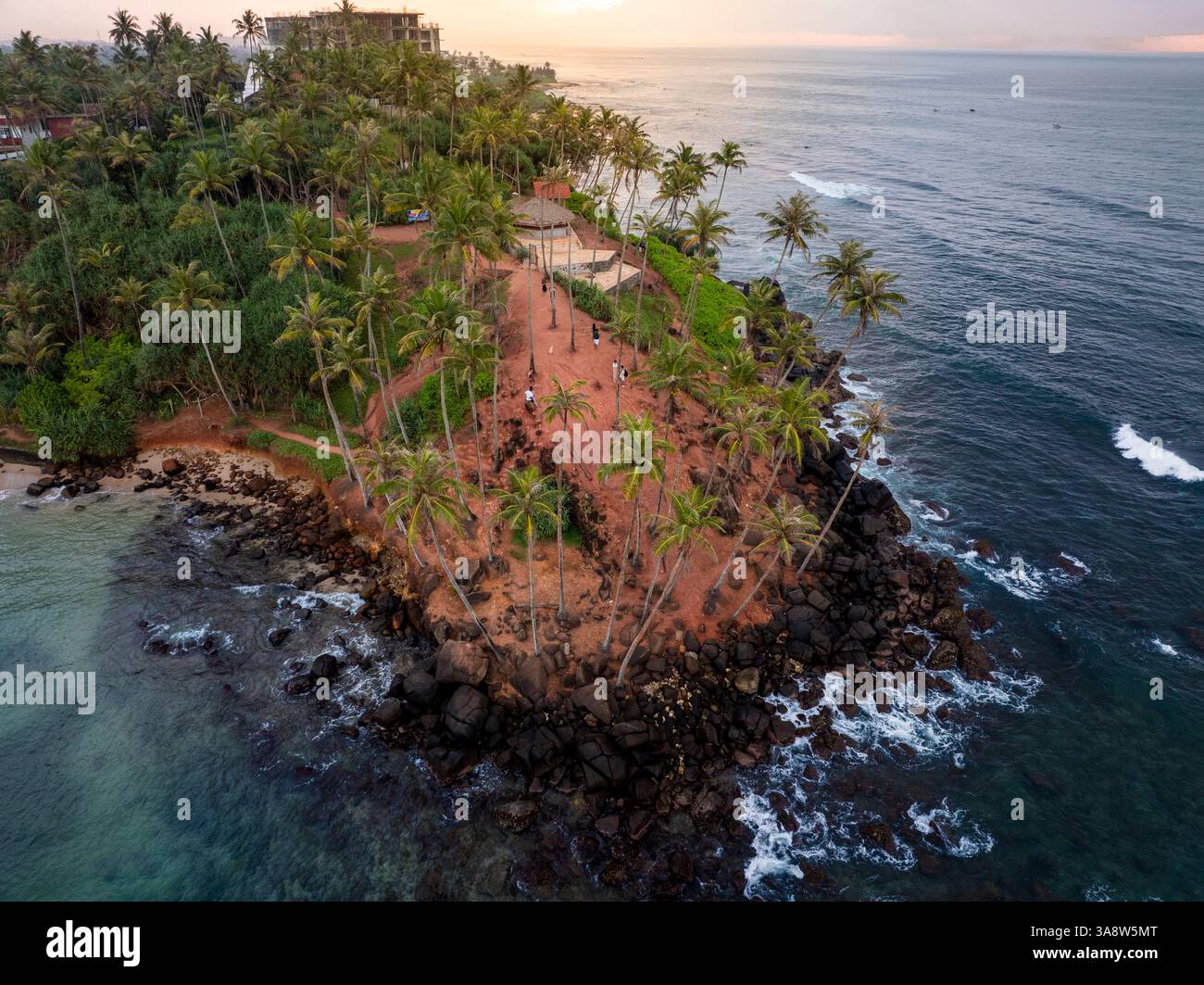 Coconut tree hill in Mirissa Beach. Sri Lanka Stock Photo - Alamy