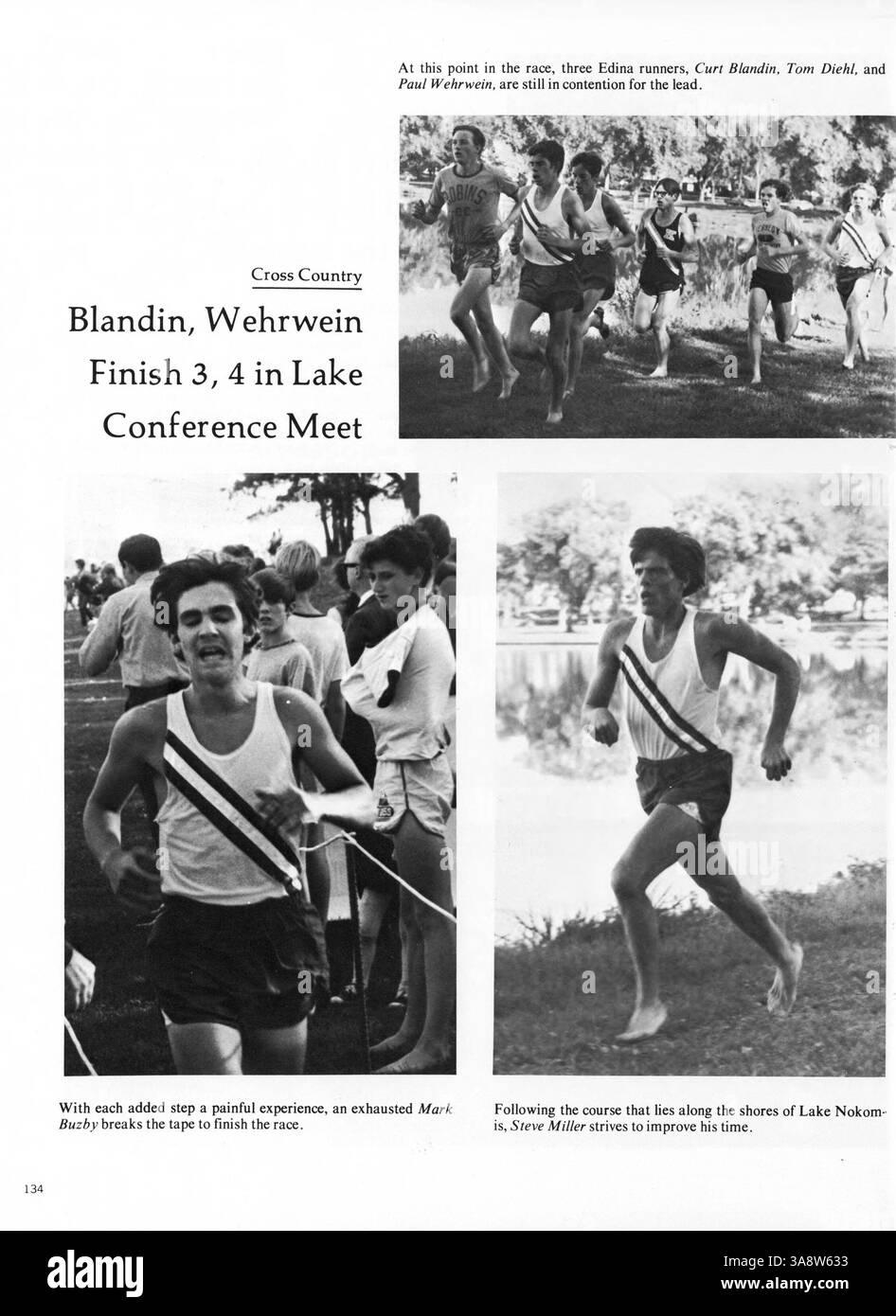 The 1971 Whigrean yearbook from Edina High School captures the major ...