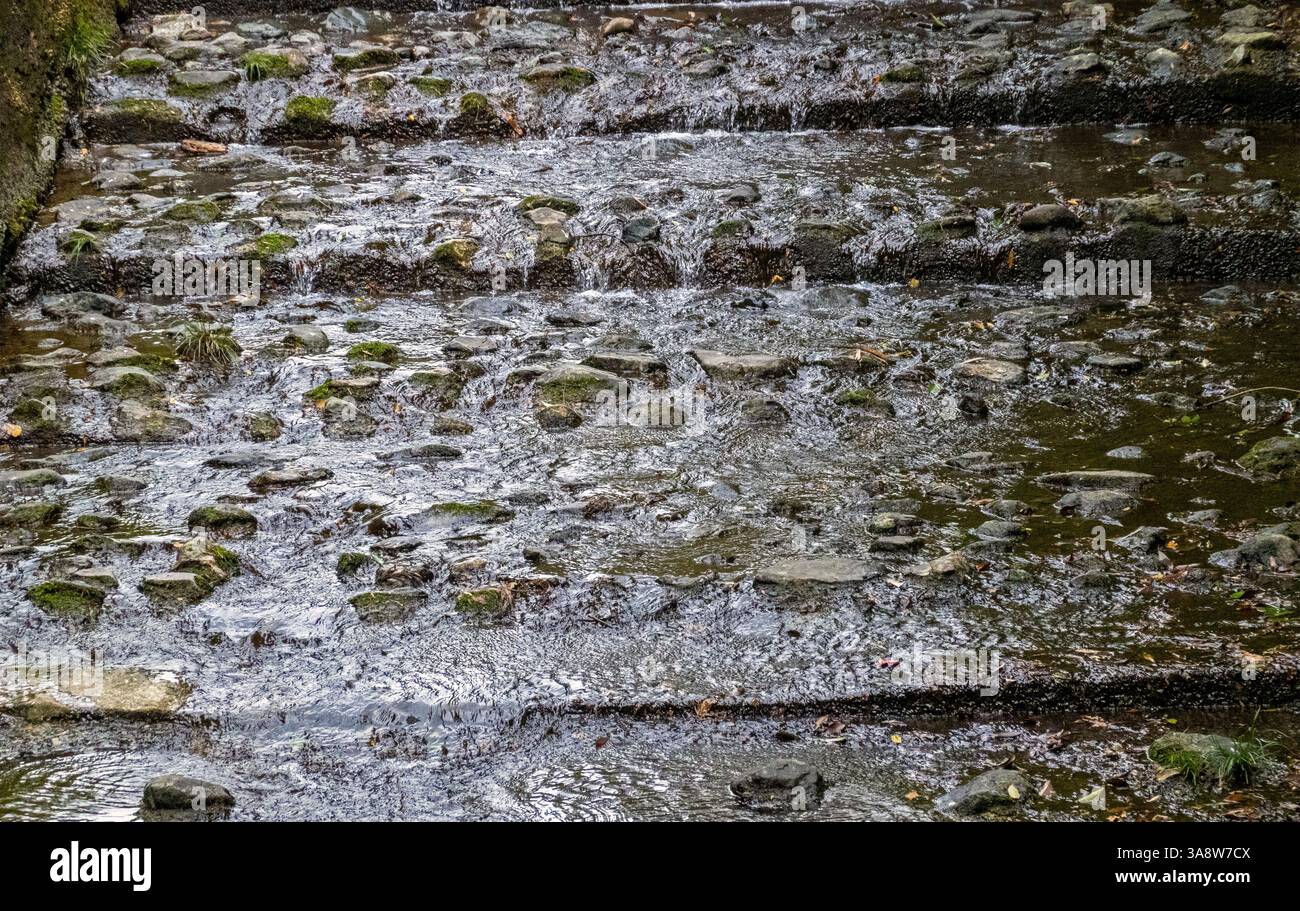 Saihoji Kokedera moss temple in Kyoto Japan Stock Photo - Alamy