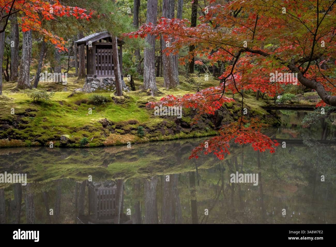 Saihoji Kokedera moss temple in Kyoto Japan Stock Photo - Alamy
