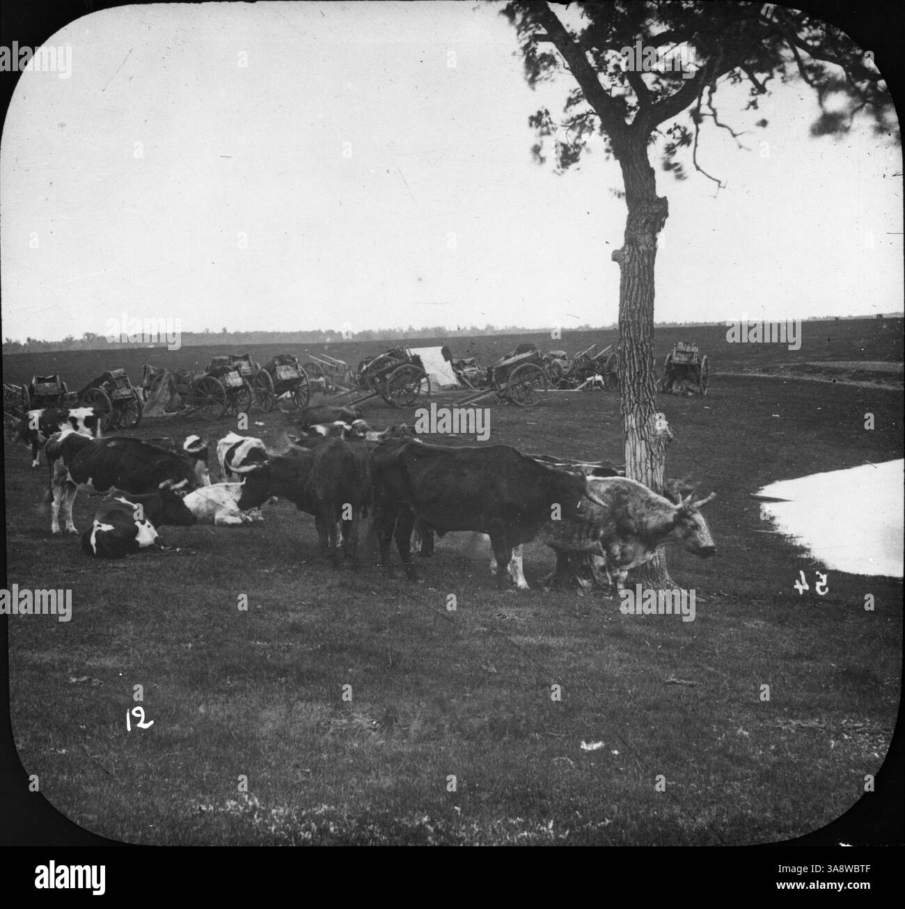 Providing a glimpse into early 19th century fur trade life hi-res stock ...