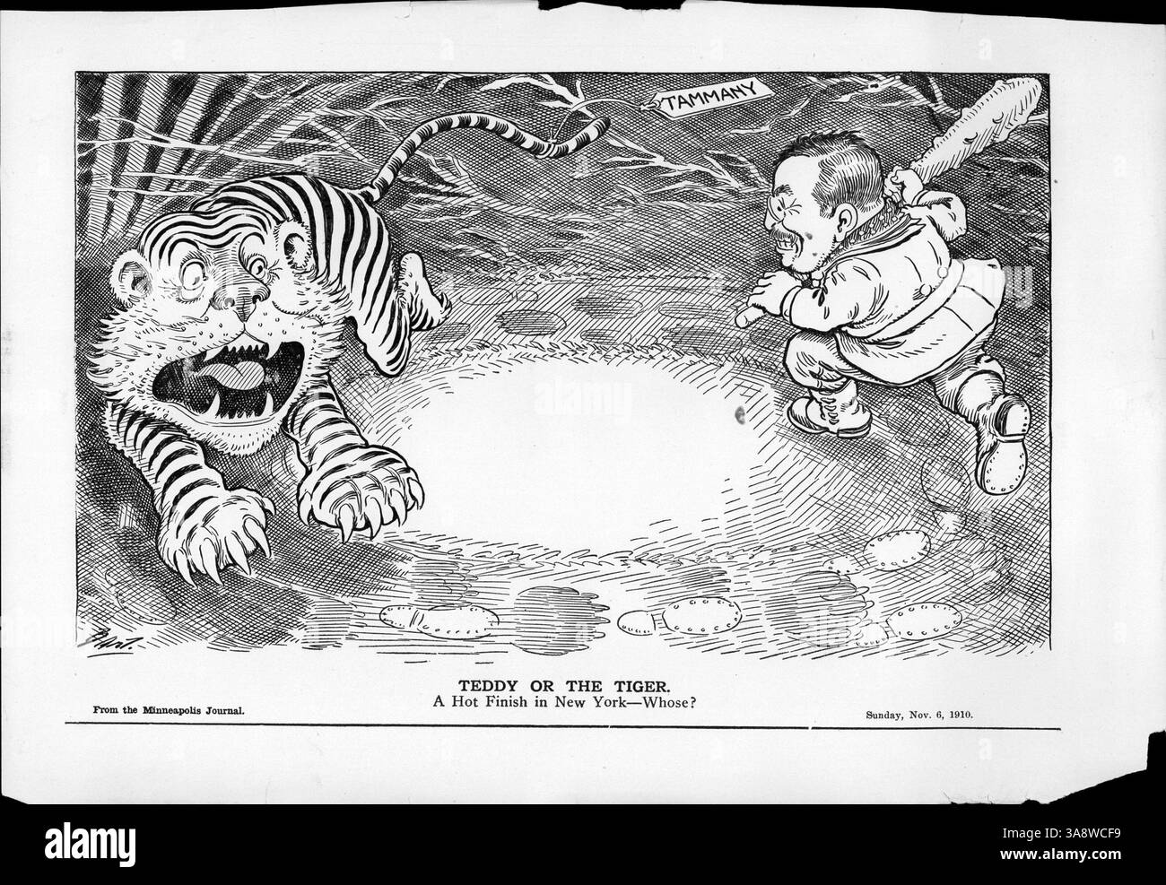 Tammany tiger hi-res stock photography and images - Alamy