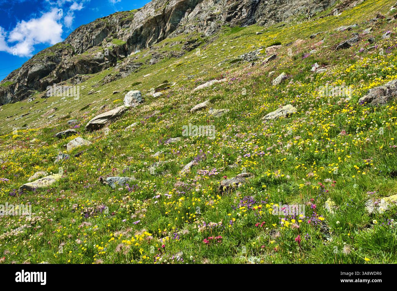 Hike in Zermatt, Matterhorn region, beautiful lake and river, Swiss ...