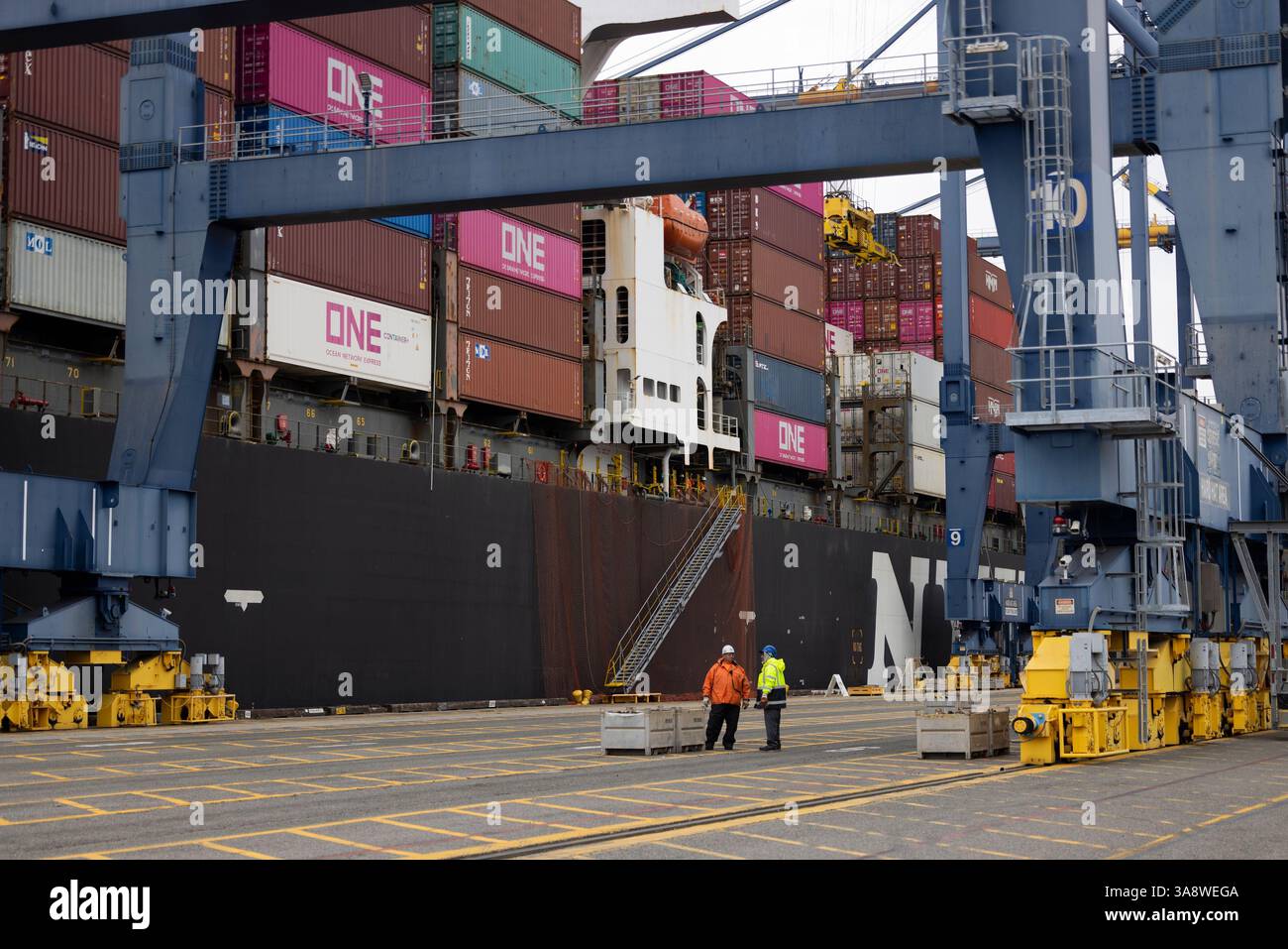 Longshoremen work on the docks loading containers on a cargo ship at ...
