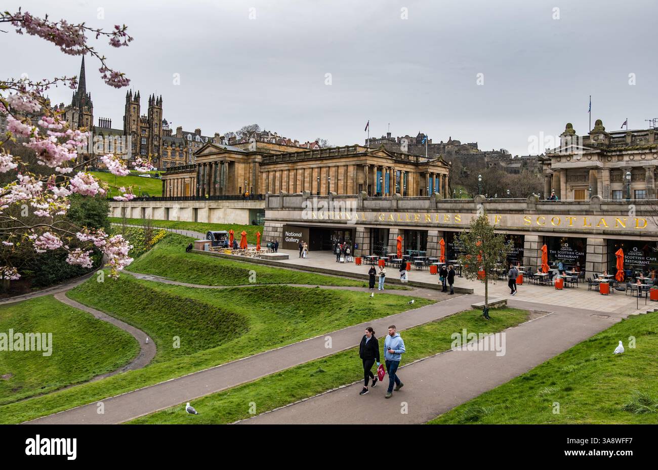 Edinburgh, Scotland, UK, 29th March 2025. UK Weather: Spring blossom ...
