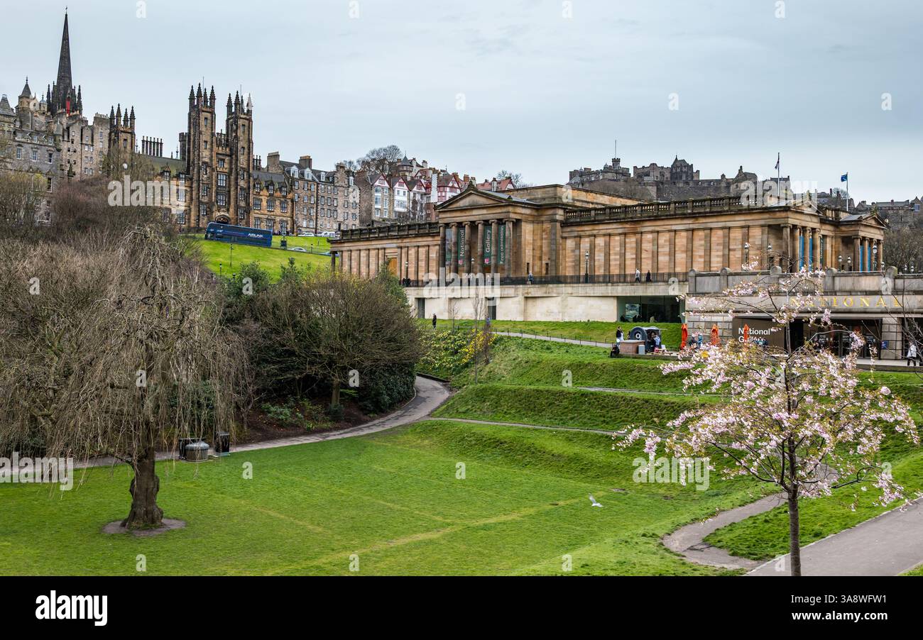 Edinburgh, Scotland, UK, 29th March 2025. UK Weather: Spring blossom ...