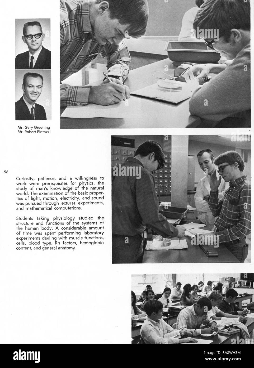 The 1969 '69 Bear' yearbook from Lincoln High School highlights the ...