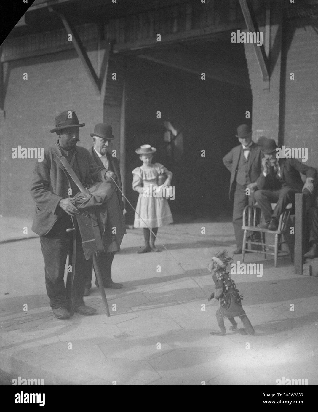 This image depicts an organ grinder with his monkey hi-res stock ...