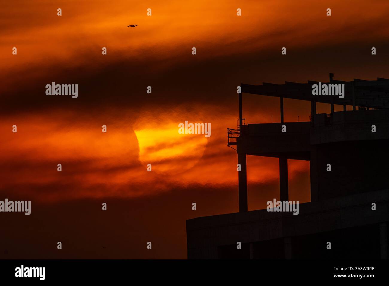 A partial solar eclipse is seen as the Sun rises over Brooklyn on March ...