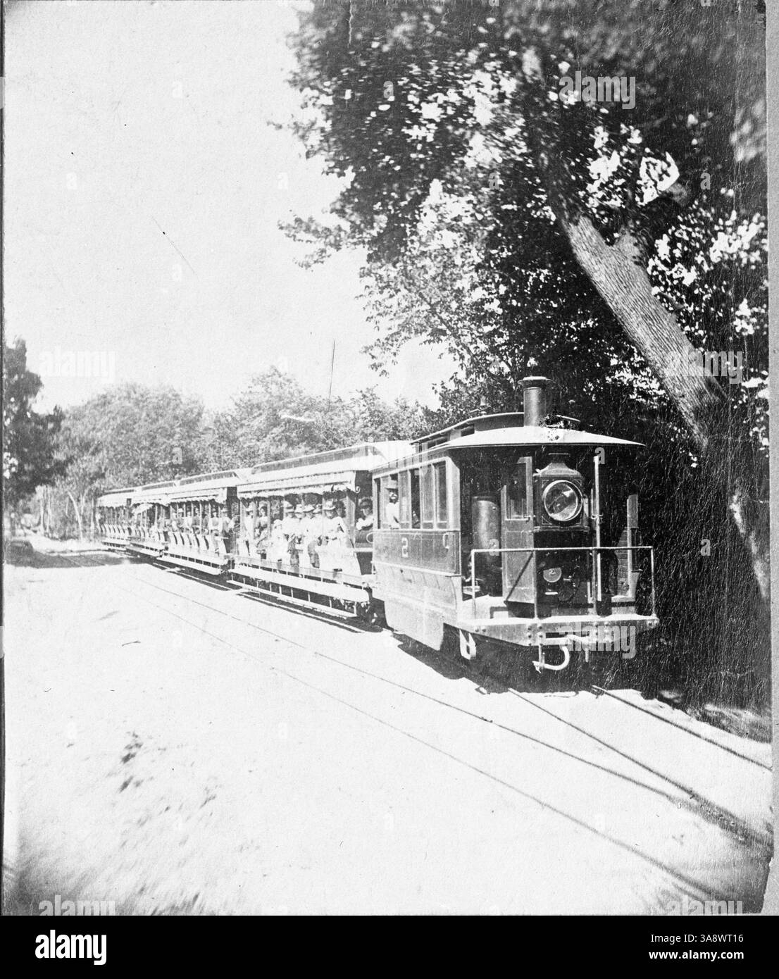 This photograph shows Locomotive #2 and four cars of the Lyndale and ...