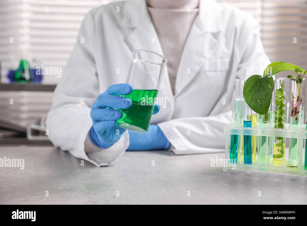 Biochemistry. Scientist working with plants and liquids at grey table ...