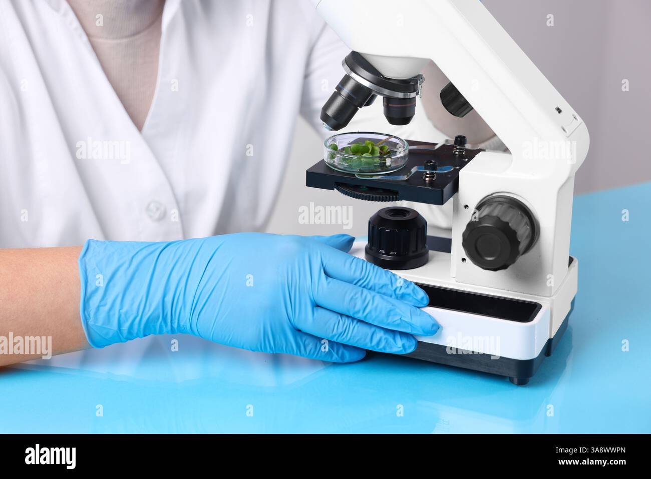 Biochemistry. Scientist looking at plants with microscope in laboratory ...