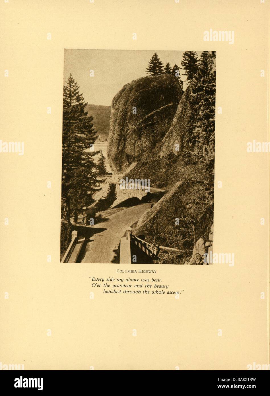 The 1931 Wizard Yearbook from Edison High School features the students ...