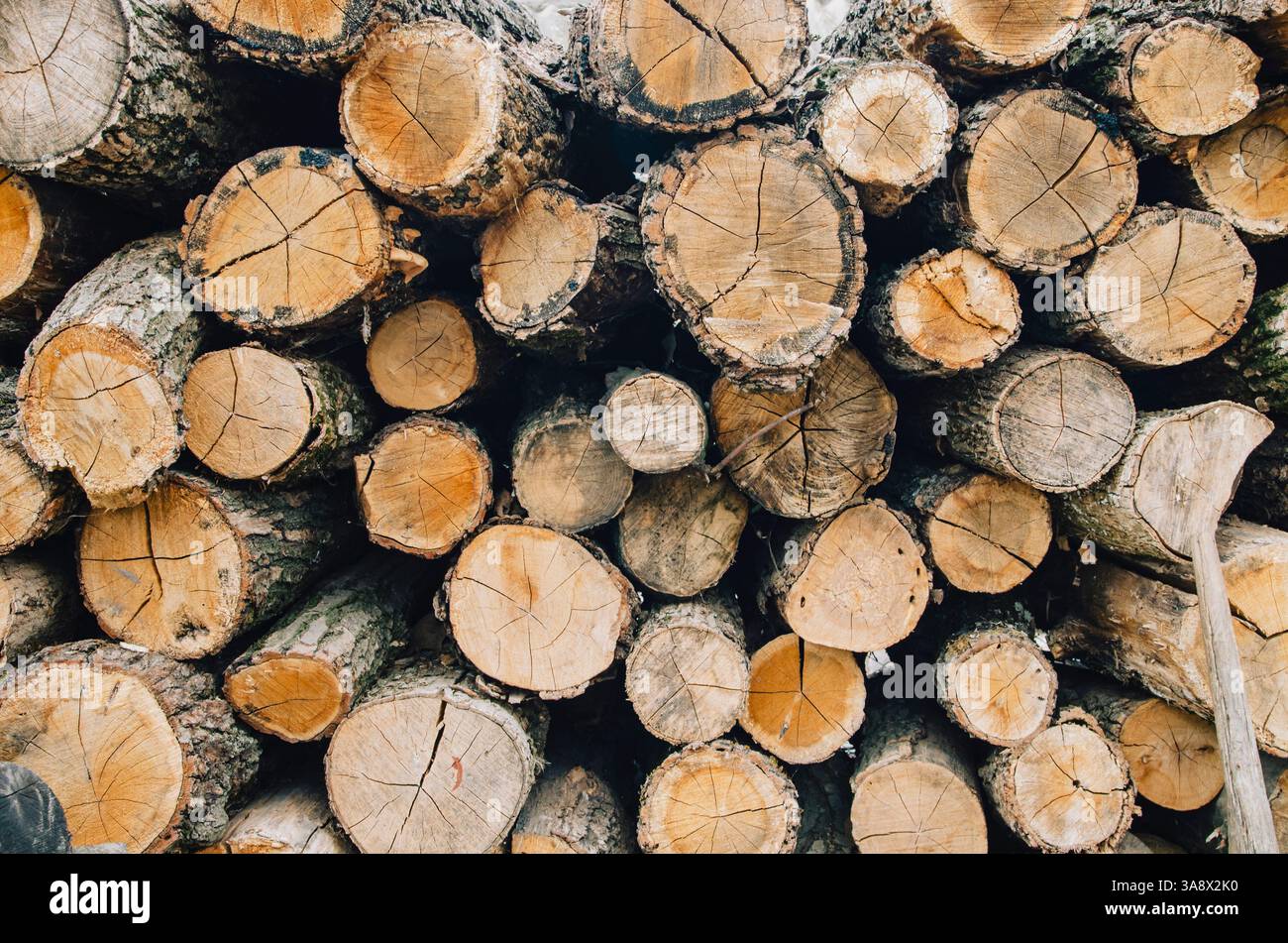 Stacked logs cut for firewood Stock Photo - Alamy