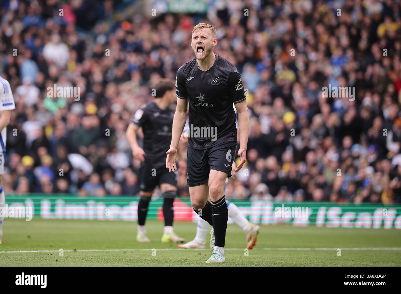 Harry Darling (Swansea City) shouts at the assistant referee during the ...