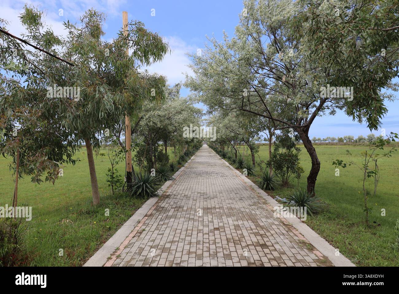 Divjaka karavasta national park hi-res stock photography and images - Alamy