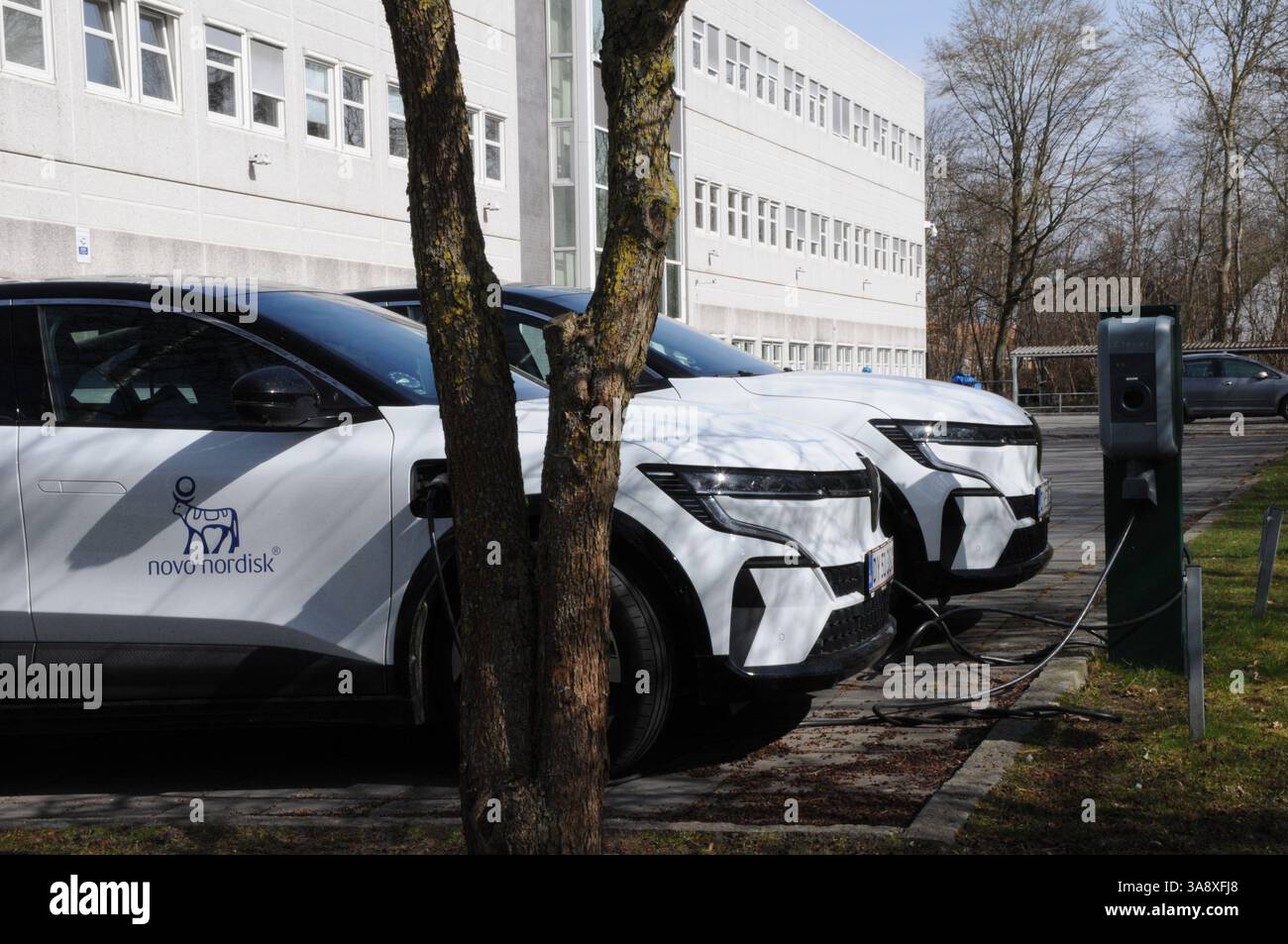 Copenhagen/ Denmark/29 march 2025/Electric vehicles at charging point ...
