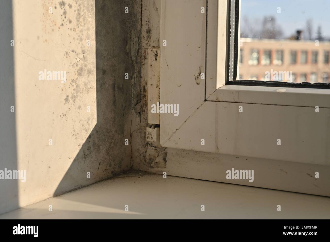 fungal mold on the plastic window in the apartment Stock Photo - Alamy