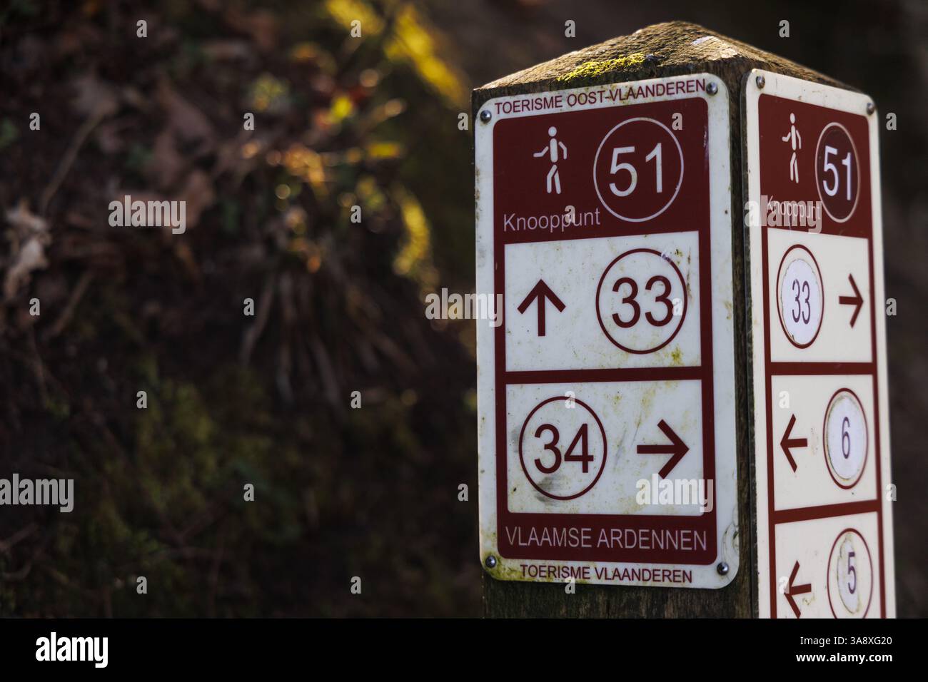 Illustration picture shows a road sign indicating different hiking ...