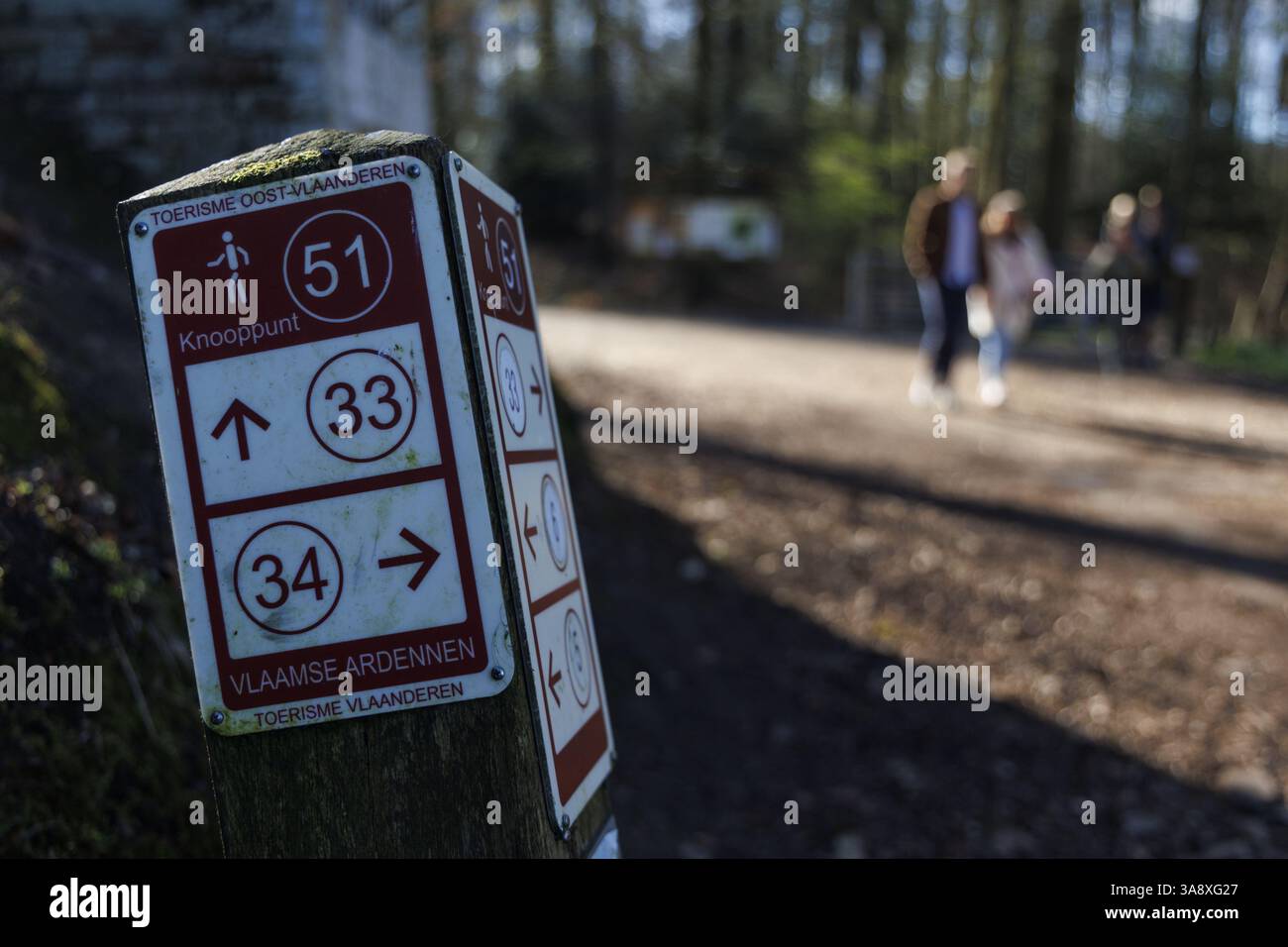 Illustration picture shows a road sign indicating different hiking ...
