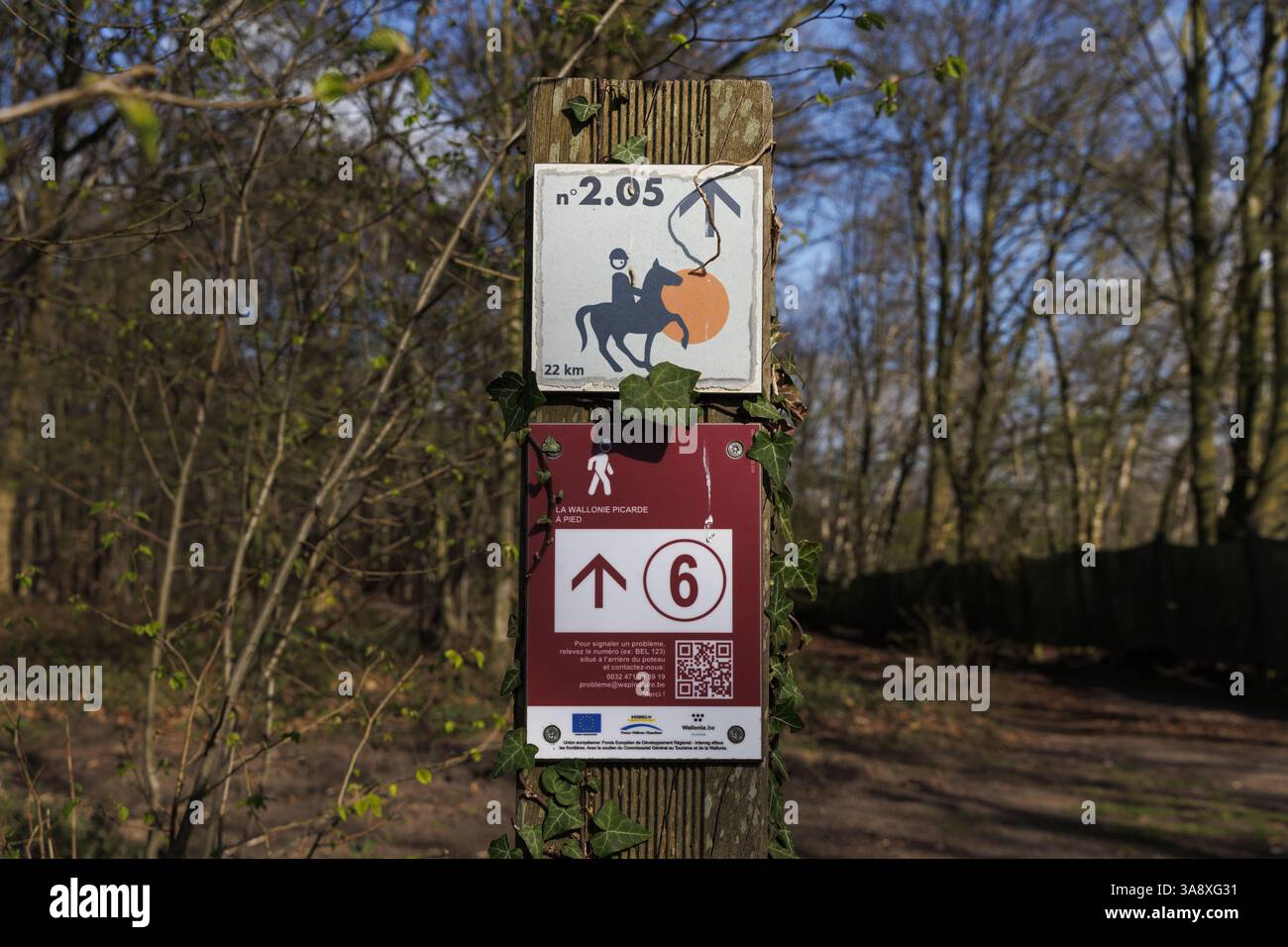 Illustration picture shows a road sign indicating different hiking ...