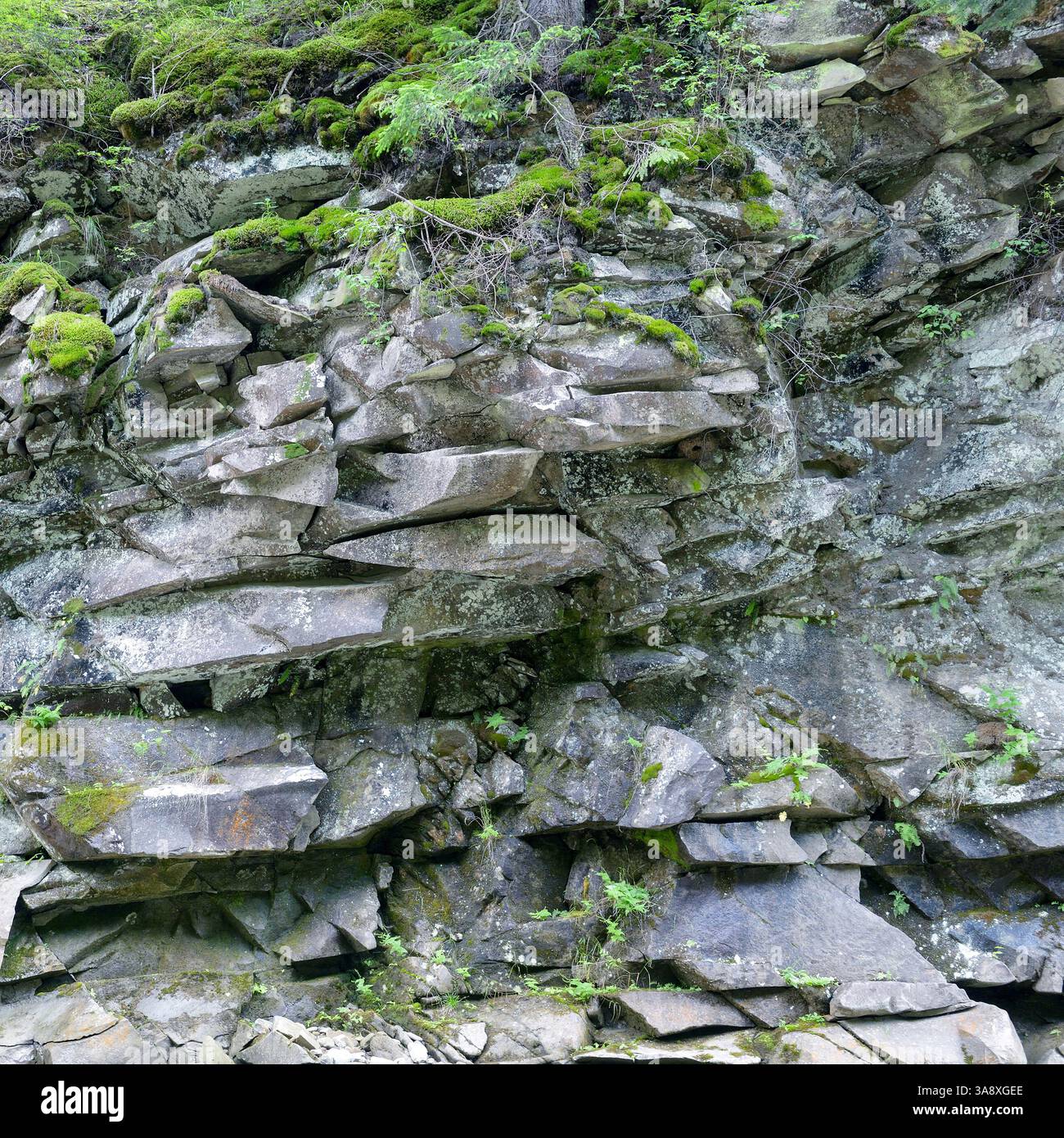 Geological section of igneous rocks close-up Stock Photo - Alamy