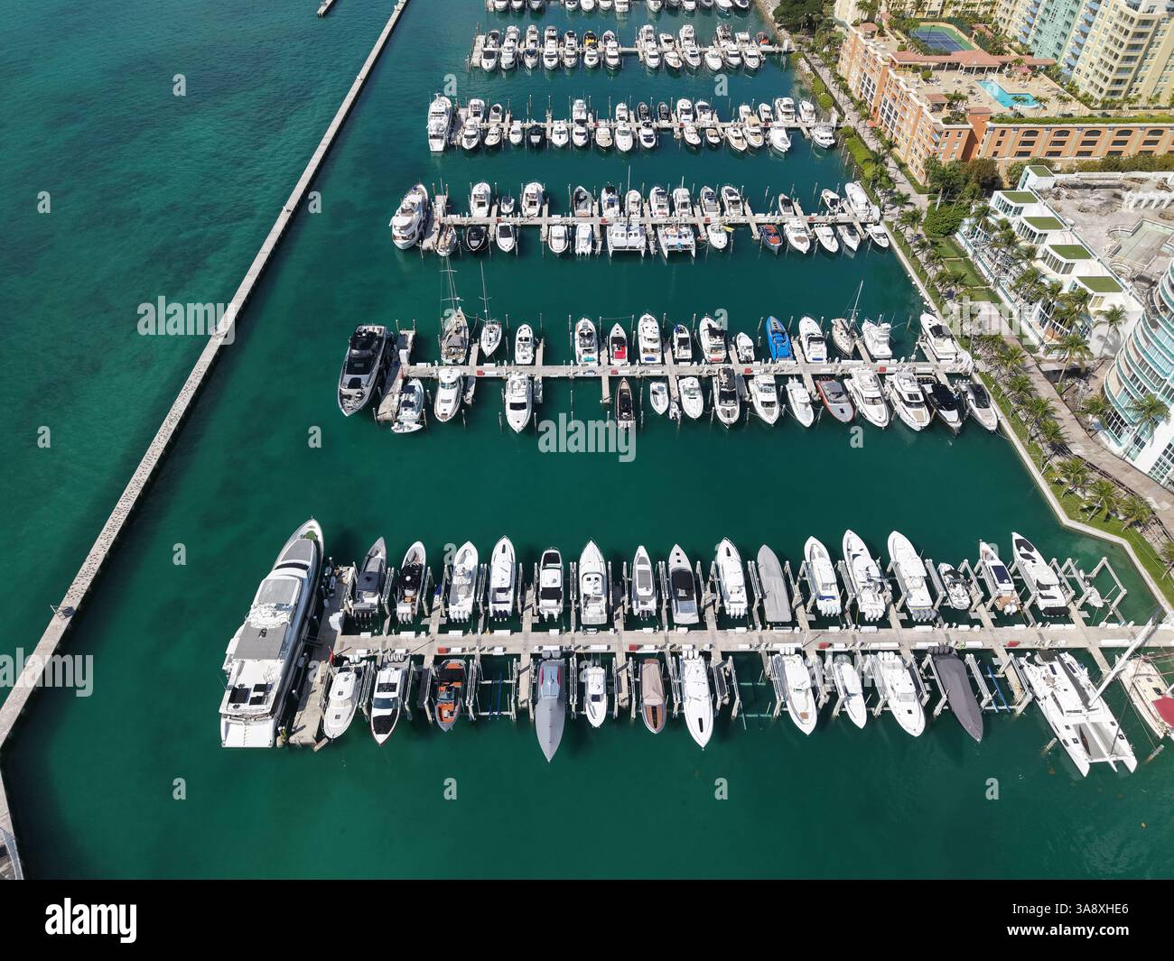 Summer vacation. Luxury South beach marina. Luxury yacht. Miami south beach view. Yacht club ...