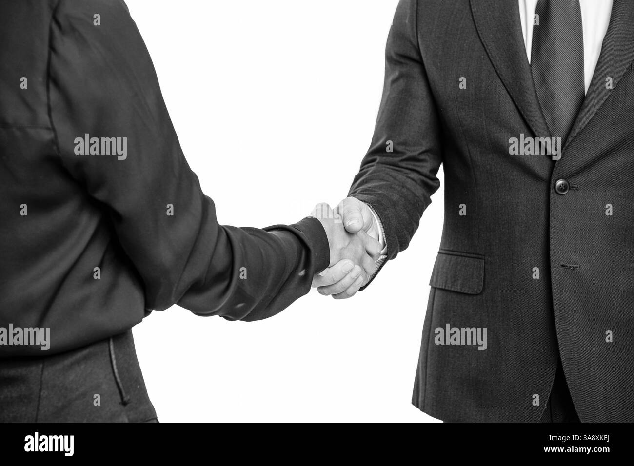 businesspeople improve cooperation with supplier. Deep cooperation ...