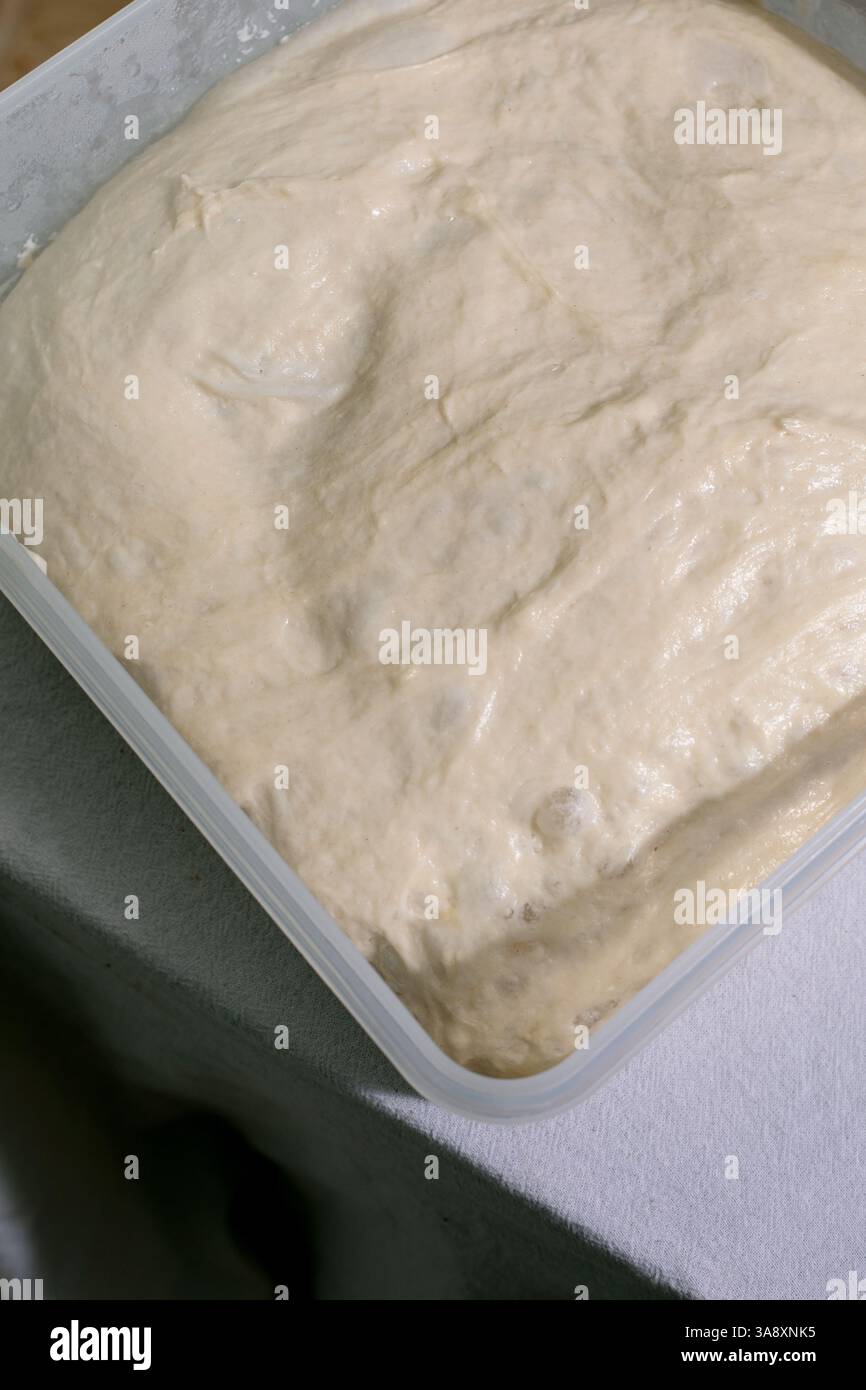 Fresh yeast dough rising in plastic container. Homemade bread ...