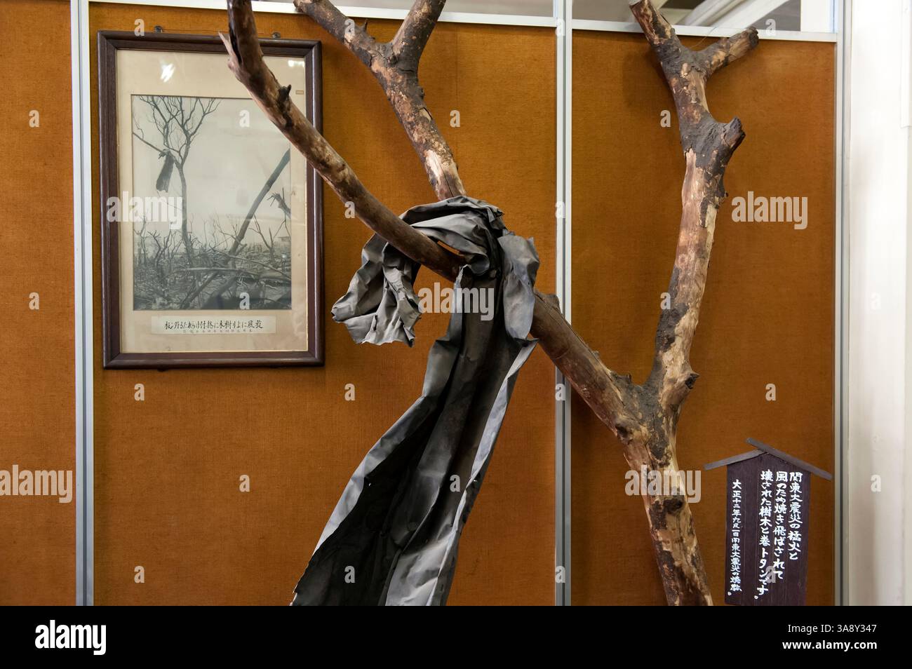 Collection of objects and remnants recovered from the 1923 Great Kanto ...